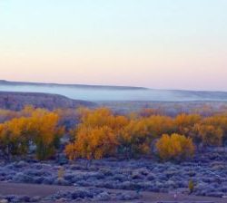 Sand Island Campground - Bluff, Utah
