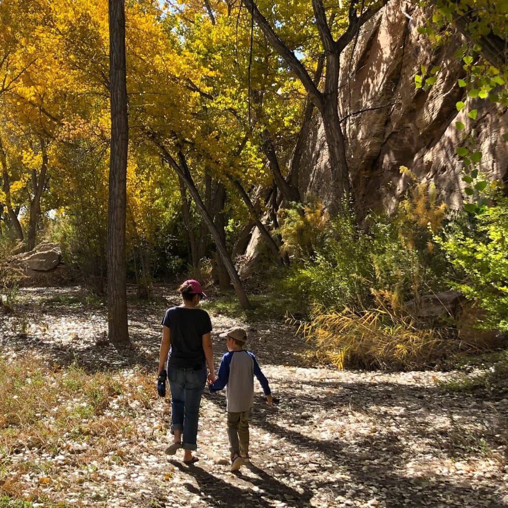 Discover More About Bluff, Utah: Unplug And Explore The Four Corners